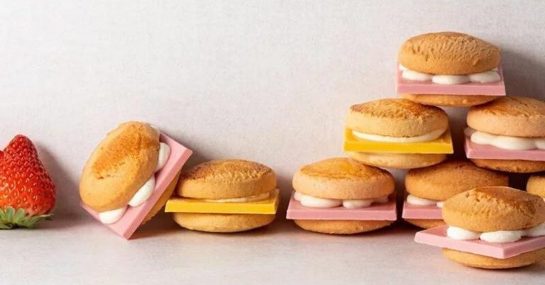 話題之作！超可愛漢堡造型My Captain Cheese Tokyo夾心曲奇可在日本樂天輕鬆買到～內附詳細網購教學 | Buy&Ship（台灣）